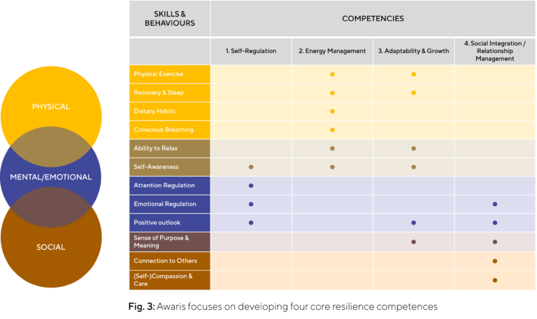The Awaris Resilience Framework